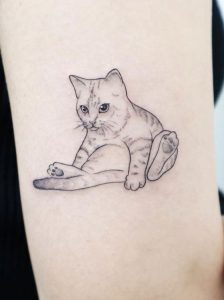 Heartfelt Tattoos in Memory of a Cat: Ideas and Designs for Your ...
