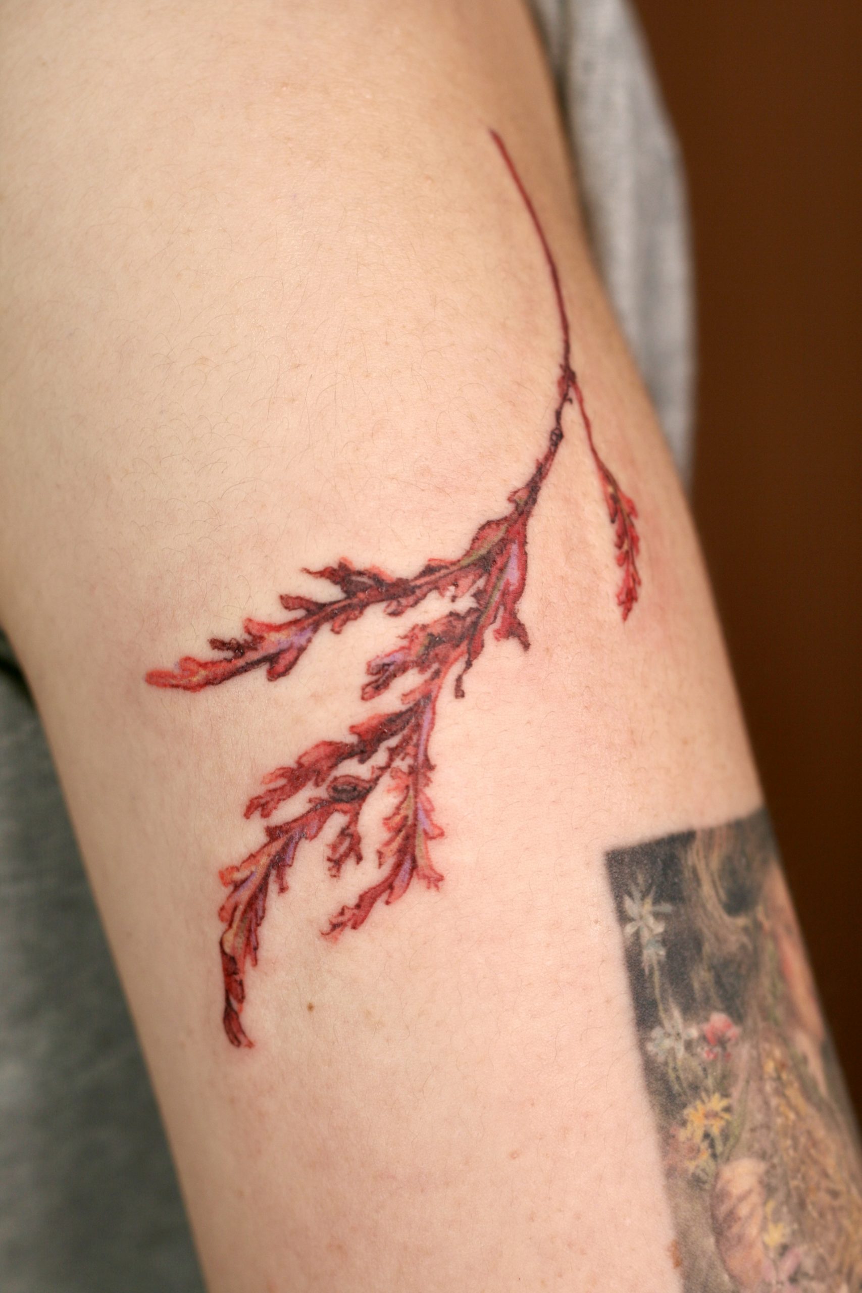 Elegant Botanical Wrap Tattoo Ideas for Arm, Forearm, and Full Body Designs