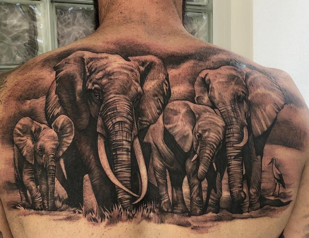 Elephant Tattoos Ideas for Men and Women: Unique Designs Celebrating ...