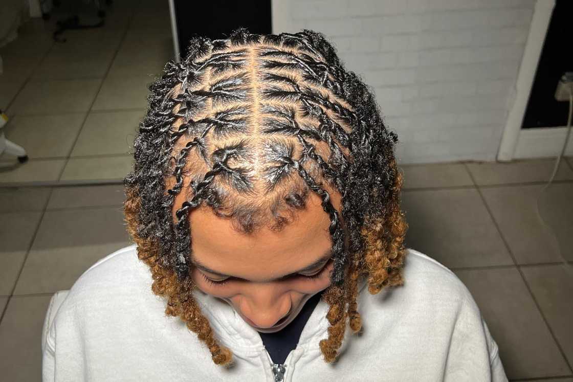Twist Hair Men: Stylish Ideas for Black Men with Taper Fade, Beads, and ...