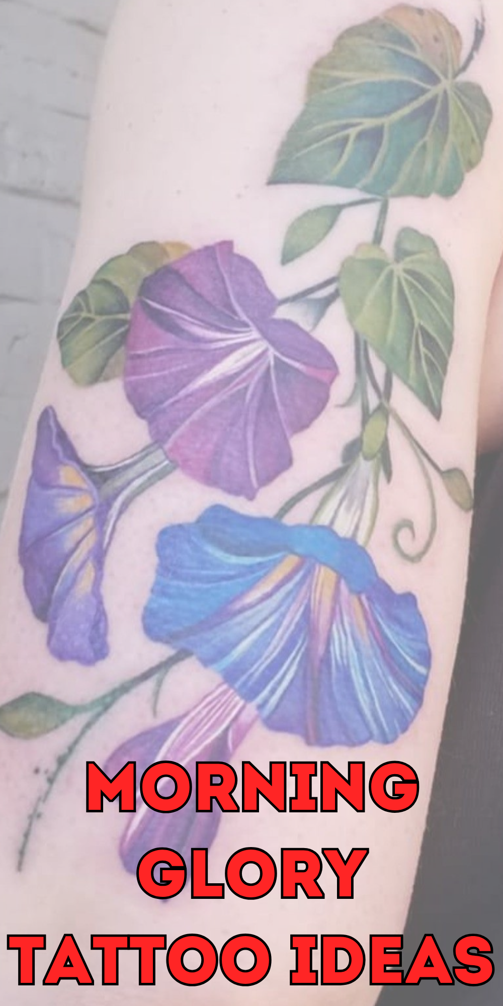23 Morning Glory Tattoo Ideas: Fine Line, Blue, Traditional & Simple ...