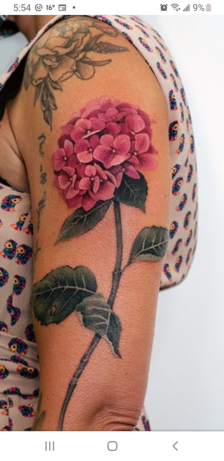 25 Hydrangea Tattoo Ideas for Fresh, Bloom-Filled Ink