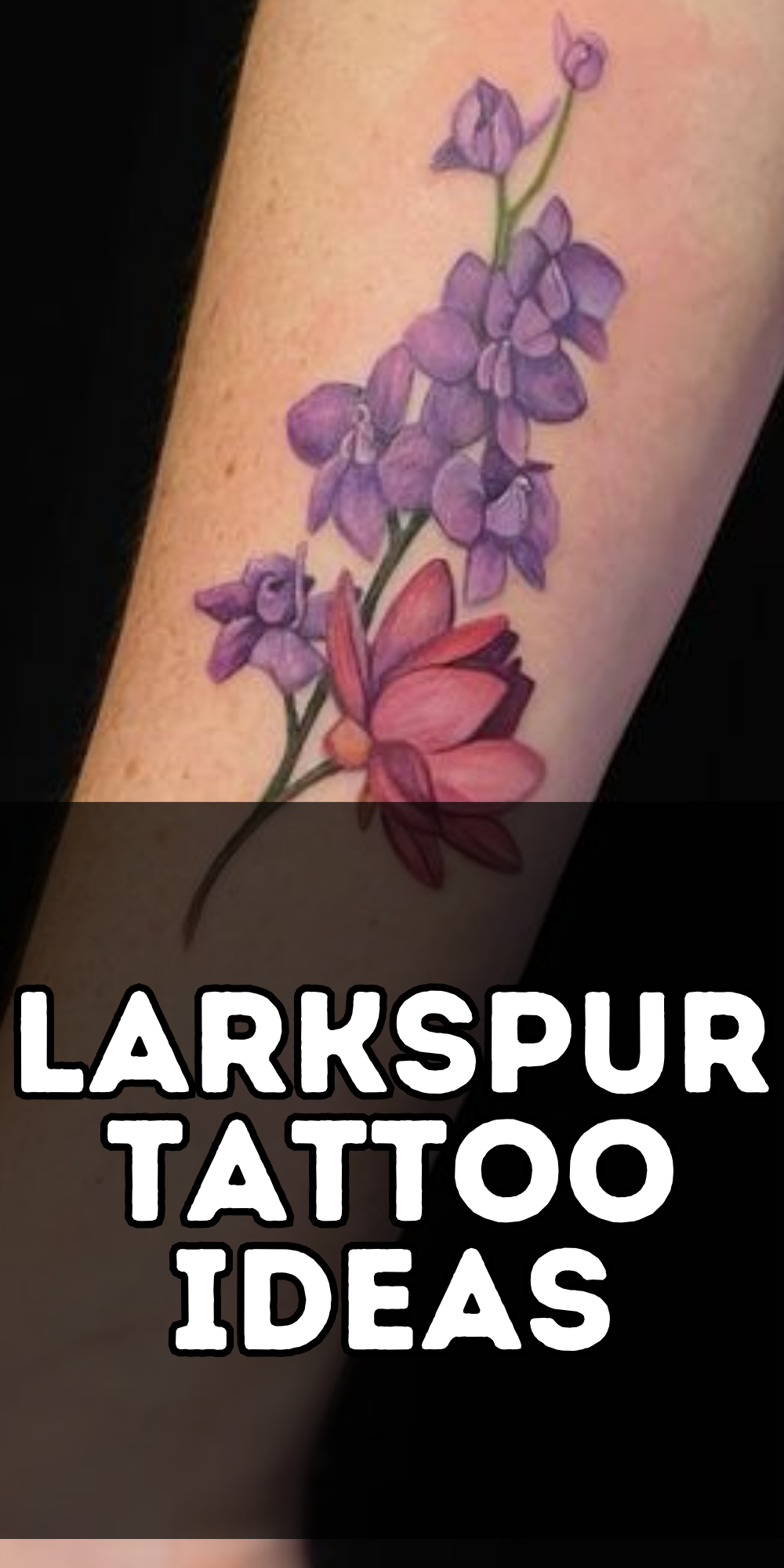 25 Larkspur Tattoo Ideas: Fine Line, Color & Traditional Designs